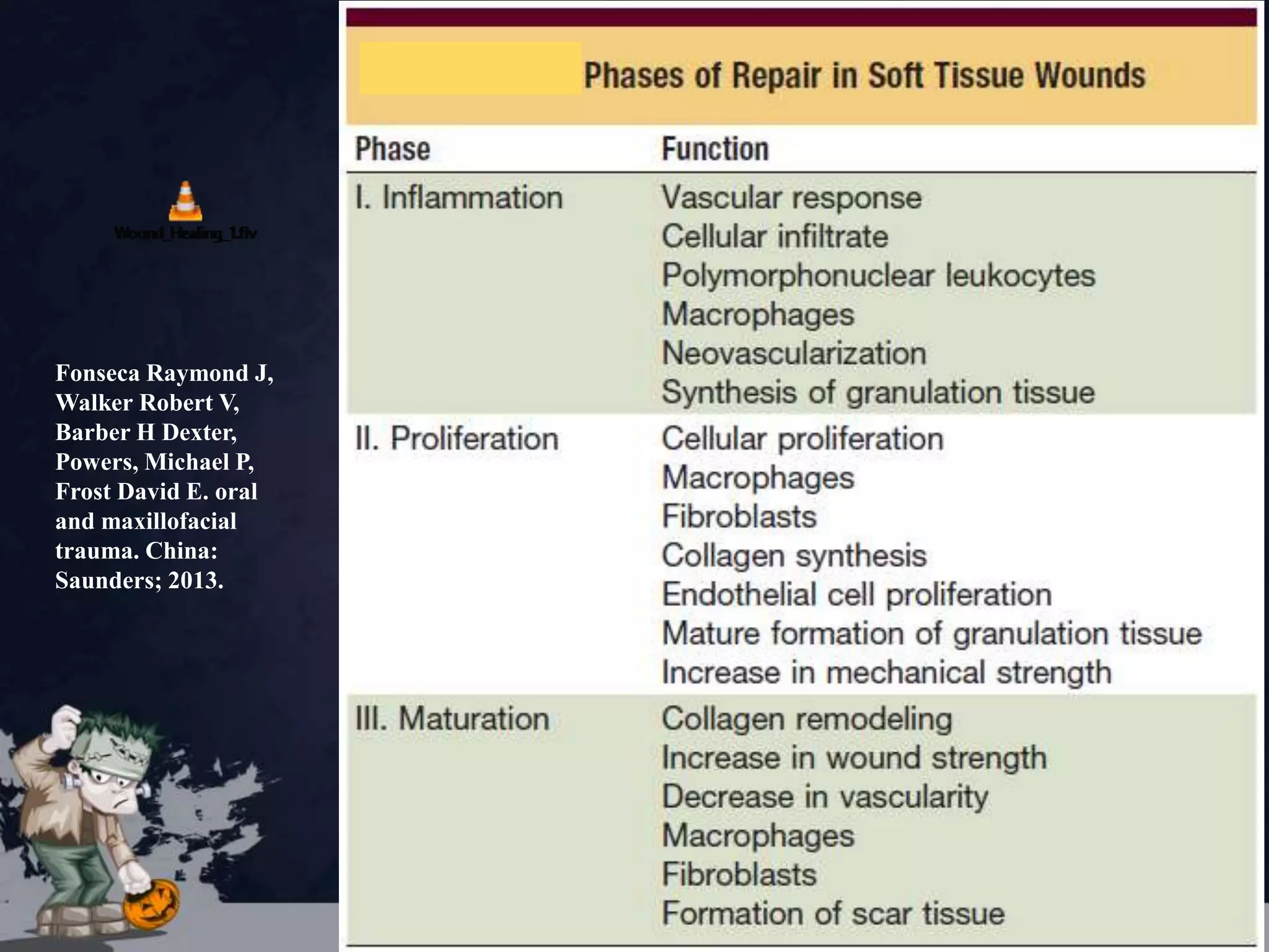 Soft tissue response and healing in omfs | PPTX