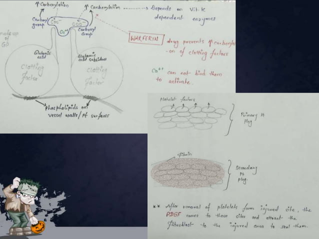 Soft tissue response and healing in omfs | PPTX | Death, Injury, or ...