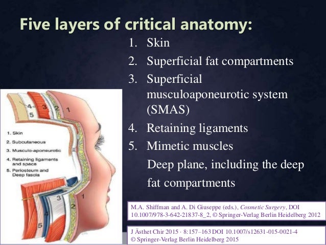 Soft tissue response and healing in omfs