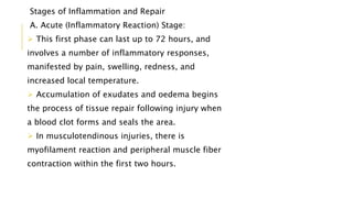 Soft Tissues Injuries.pptx BY BHARTI PAW | PPTX