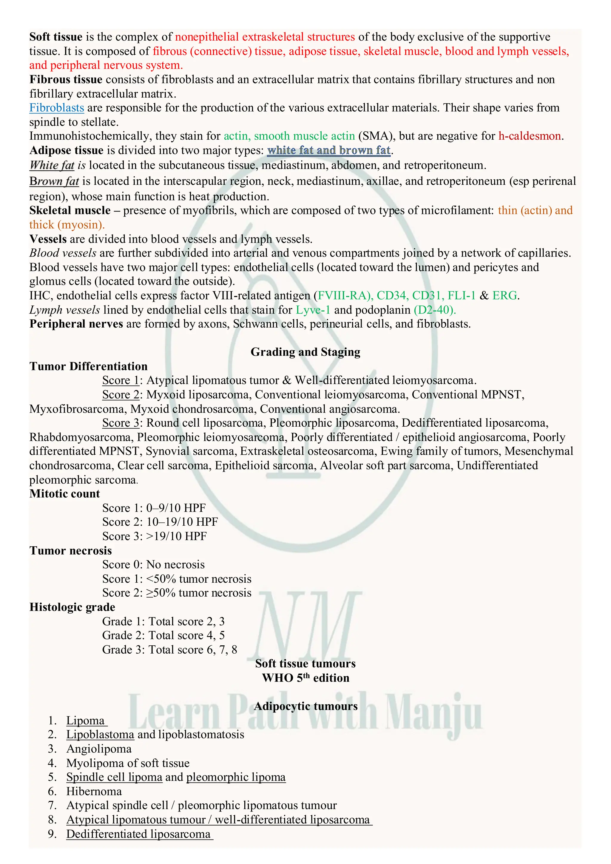 soft tissue tumors notes .pdf