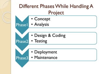Software engineering- system testing | PPTX