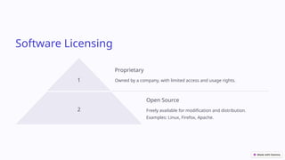 Software-Basics bba 6th sem mdu ppt.pptx