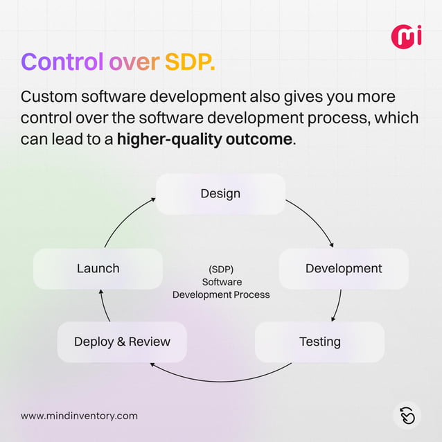 Why Custom Software Developemnt Over Zero-code Development | PDF