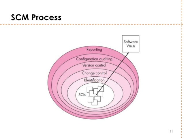 Software Configuration Management