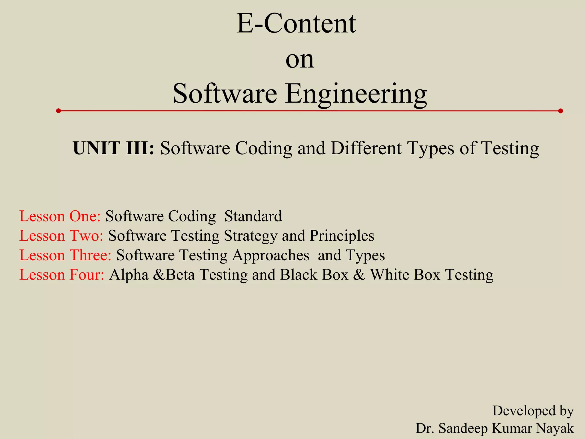 Software Coding And Testing Ppt Web Development Internet 3019