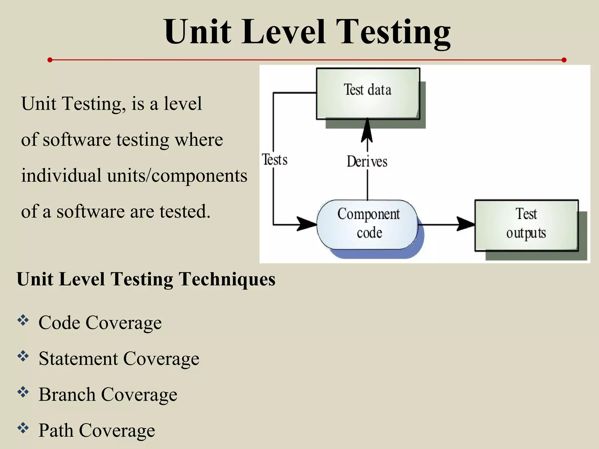 Software Coding And Testing Ppt Web Development Internet