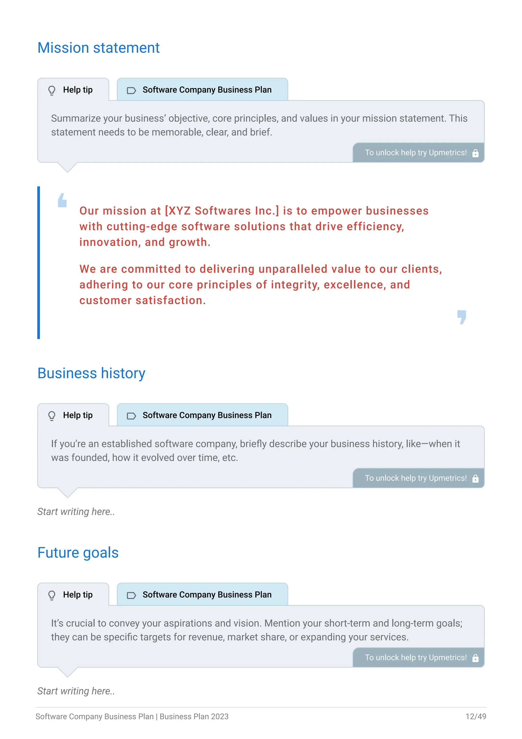 Software Company Business Plan Example | PDF