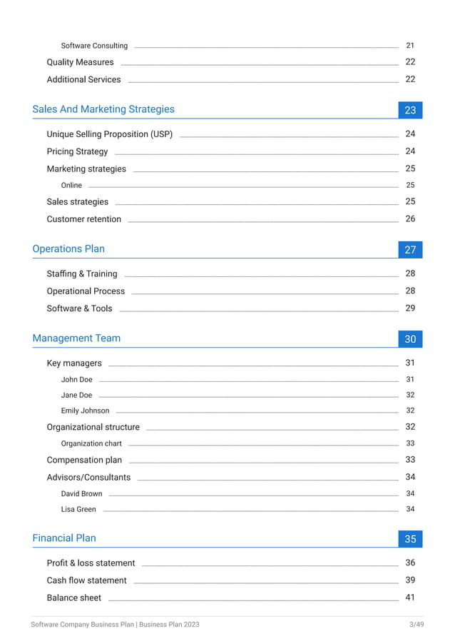 Software Company Business Plan Example | PDF | Business Accounting ...