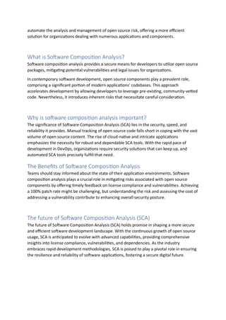 Software composition analysis in business 3.pdf
