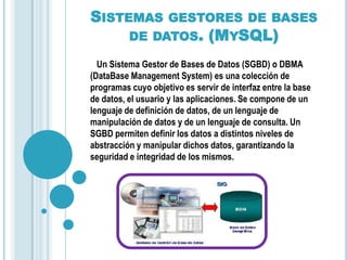 Software de aplicacion | PPTX | Computer Software and Applications ...