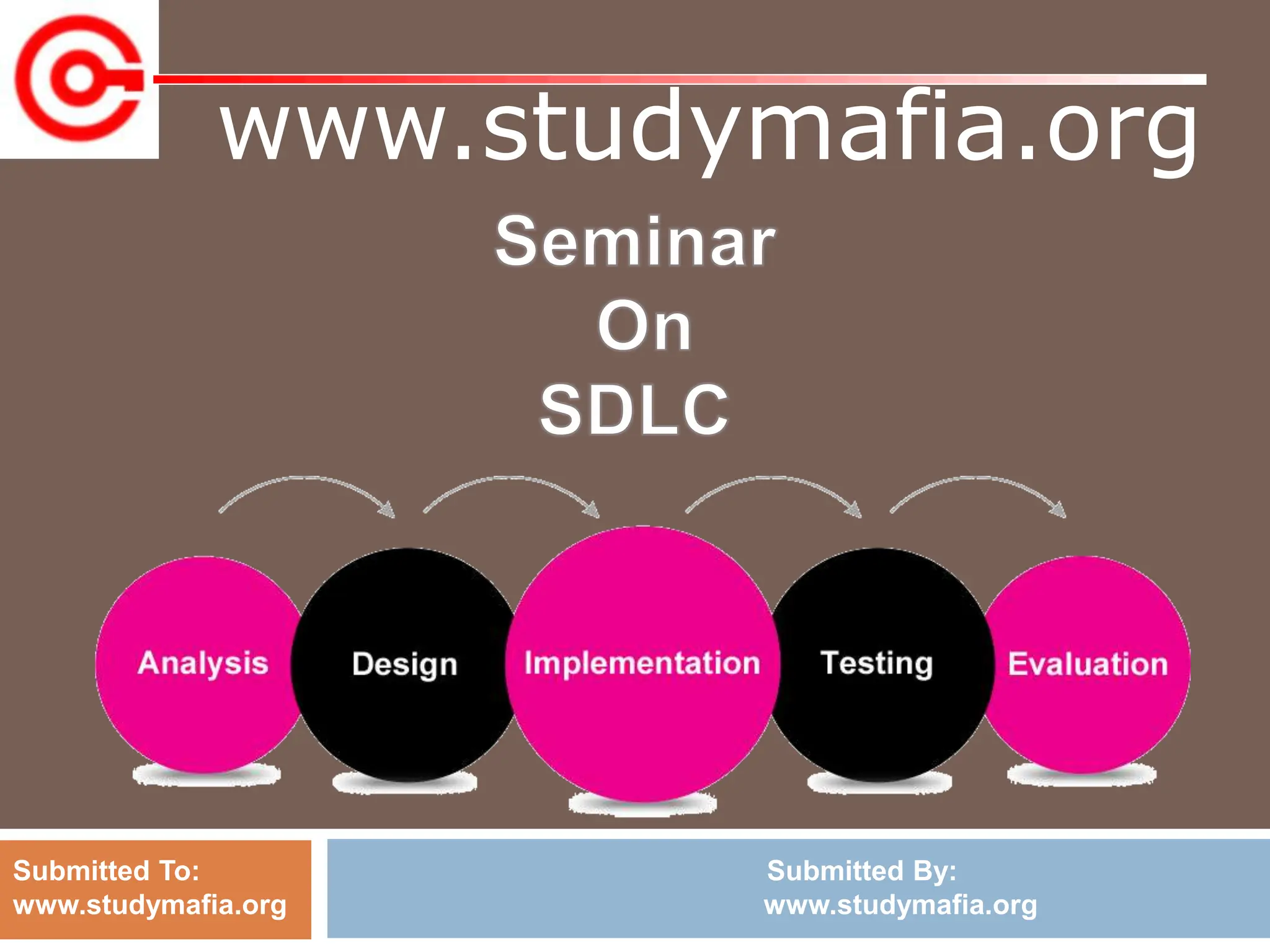 Software Developement Life Cycle ppt.pptx