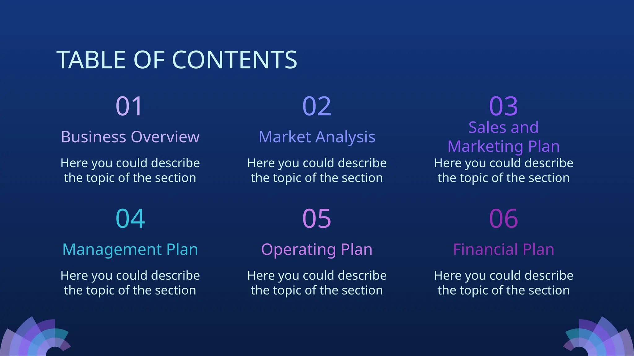 Software Development Business Plan1.pptx