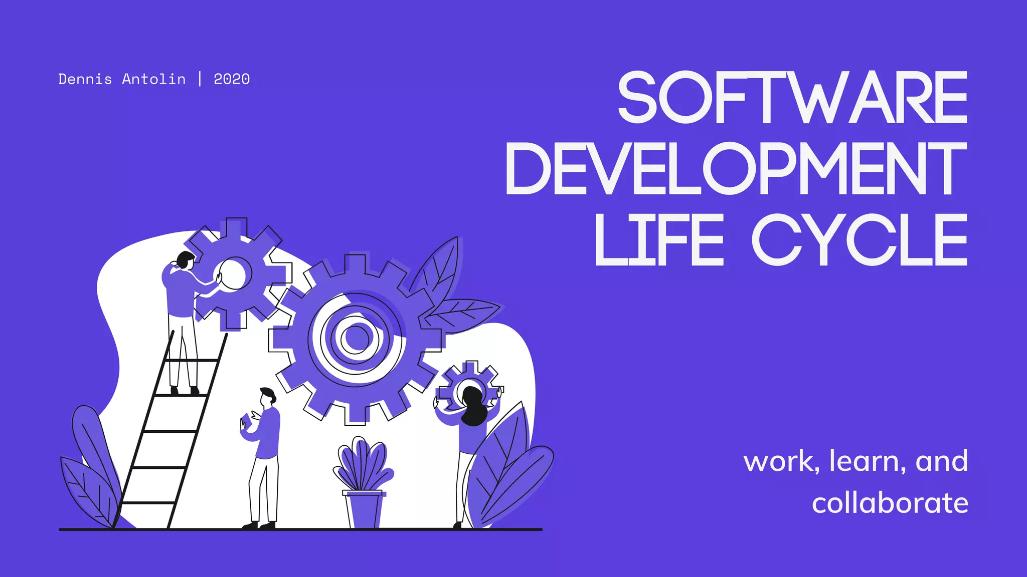 Software Development Life Cycle | PPT