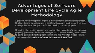 Software Development Life Cycle vs Agile | PDF