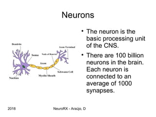 Review of general anatomy of the central nervous system | PPT | Brain ...