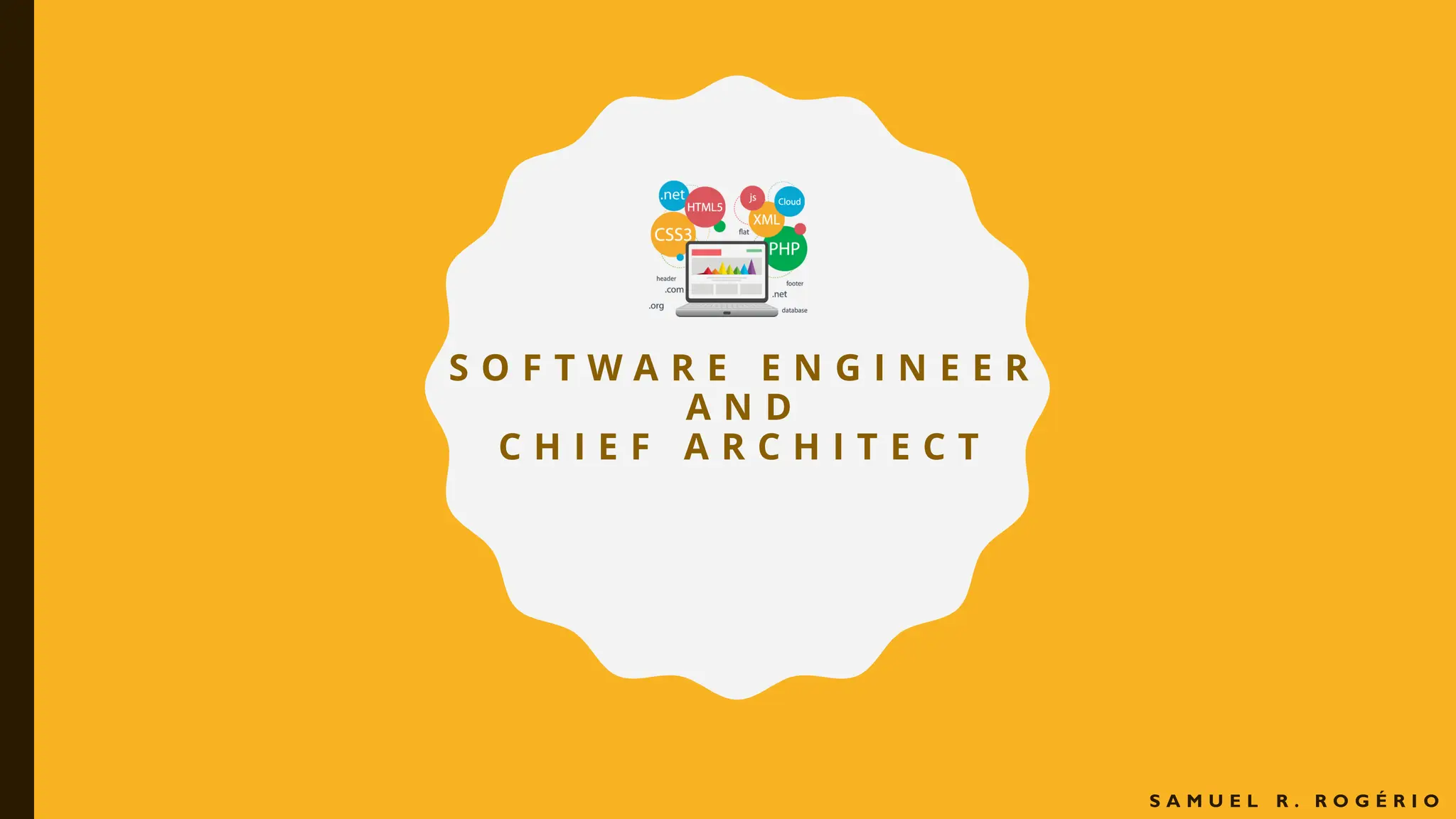 Software engineer.pdf