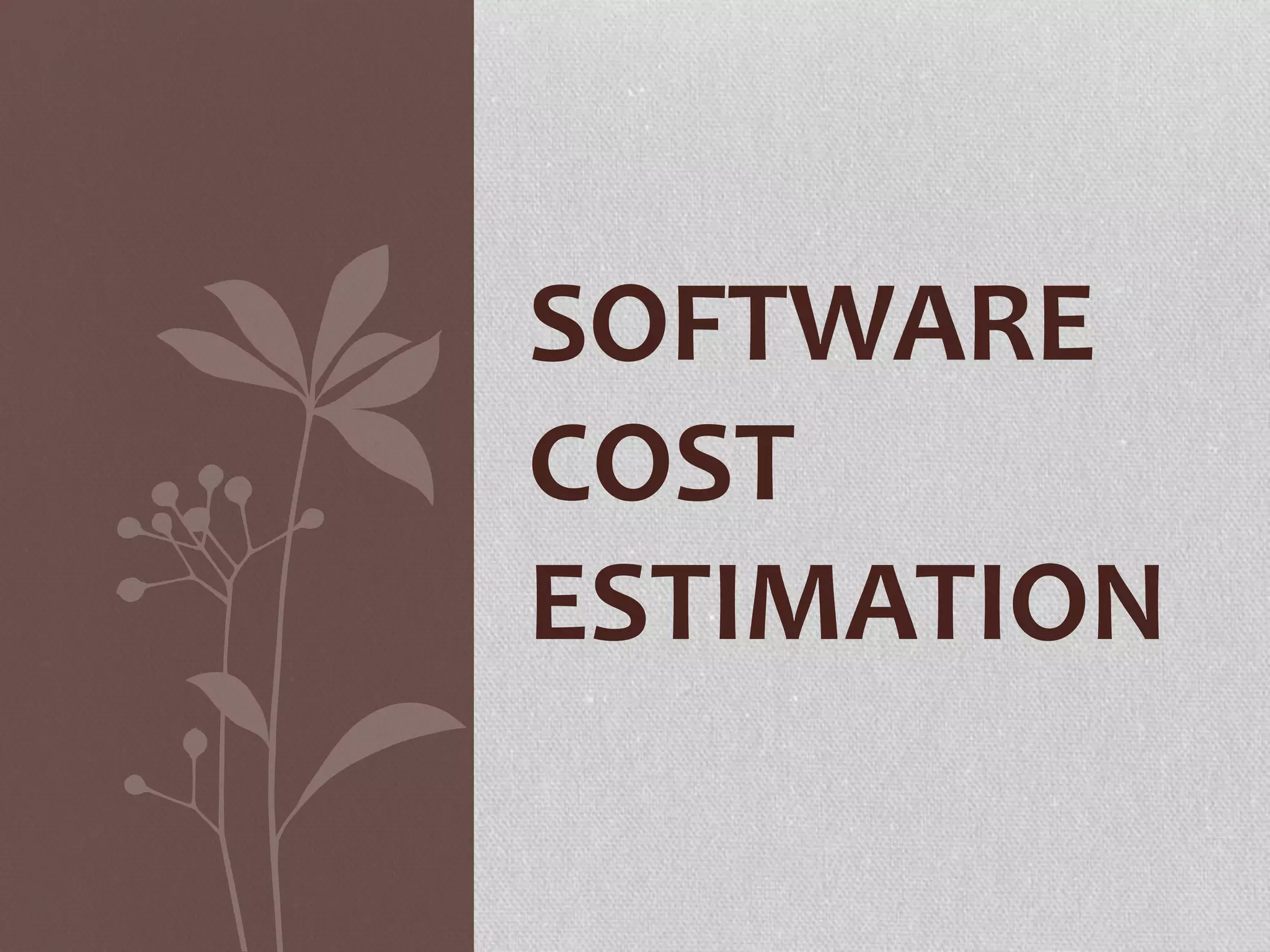 Software Cost Estimation | PPTX | Shareware and Freeware | Computer Software and Applications