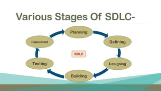 software development life cycle and SDLC Models - waterfall,prototype ...