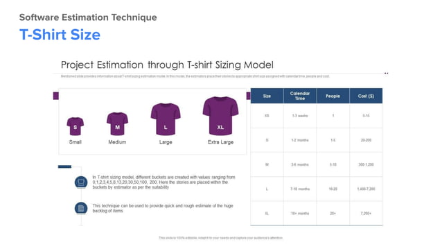 Software Estimation Strategy & Technique | PPT