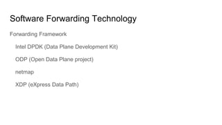 Software forwarding path | PPT