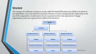 Software house organization | PPTX