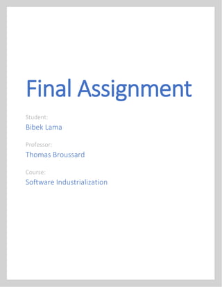 Software industrialization | PDF