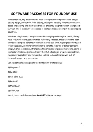 Software packages for foundry use | PDF