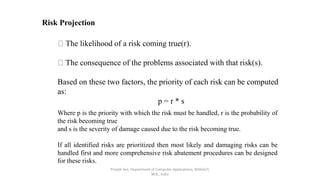 Software Risk Management.pptx