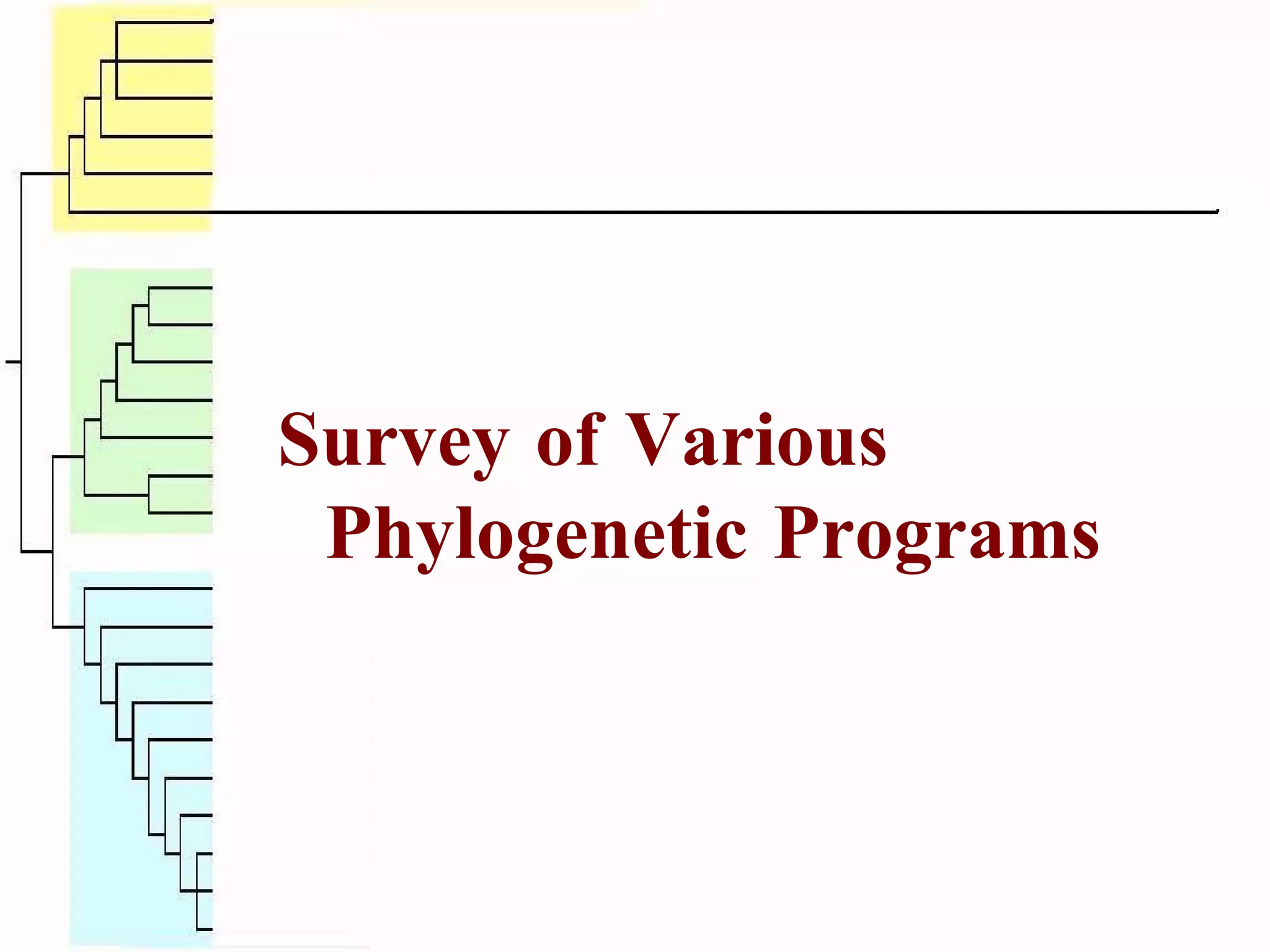 Softwares For Phylogentic Analysis | PPT