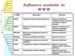 Softwares For Phylogentic Analysis | PPT
