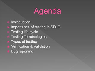 Software testing | PPTX