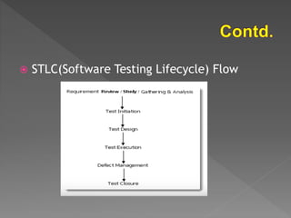 Software testing an industry perspective | PPT