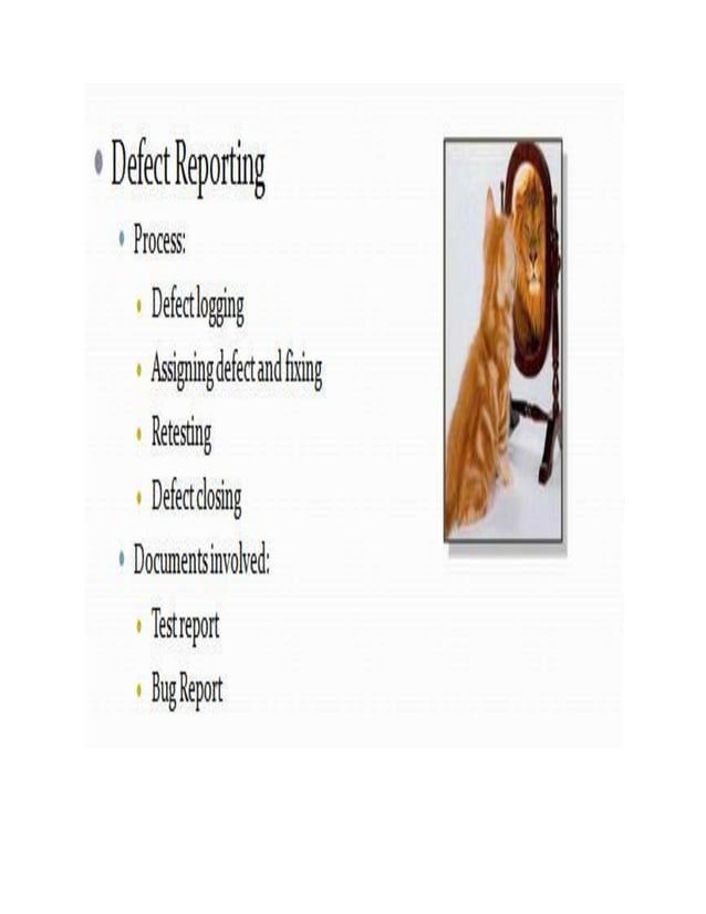 Software Testing Life Cycle Presentation Document 2 Pdf