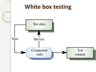 Software testing ppt | PPTX