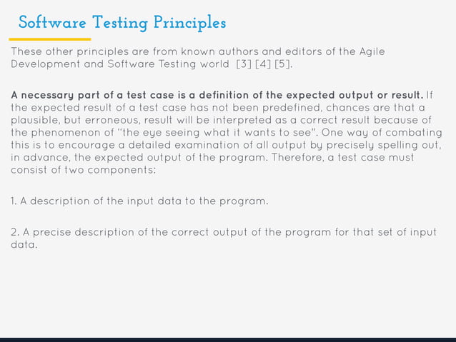 Software Testing Principles | PDF