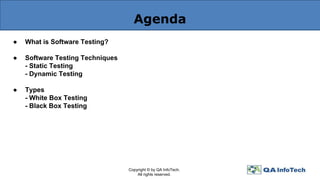 Software Testing Techniques: An Overview | PDF
