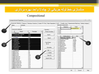 Software training pipesim | PPTX
