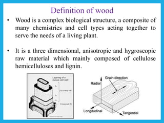 Softwood and Hardwood | PPTX