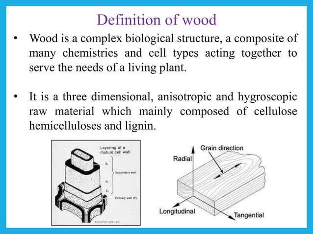 Softwood and Hardwood | PPTX