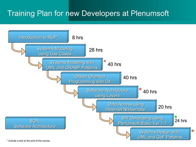 Software Developer Process | PPT | Computer Software and Applications | Computing