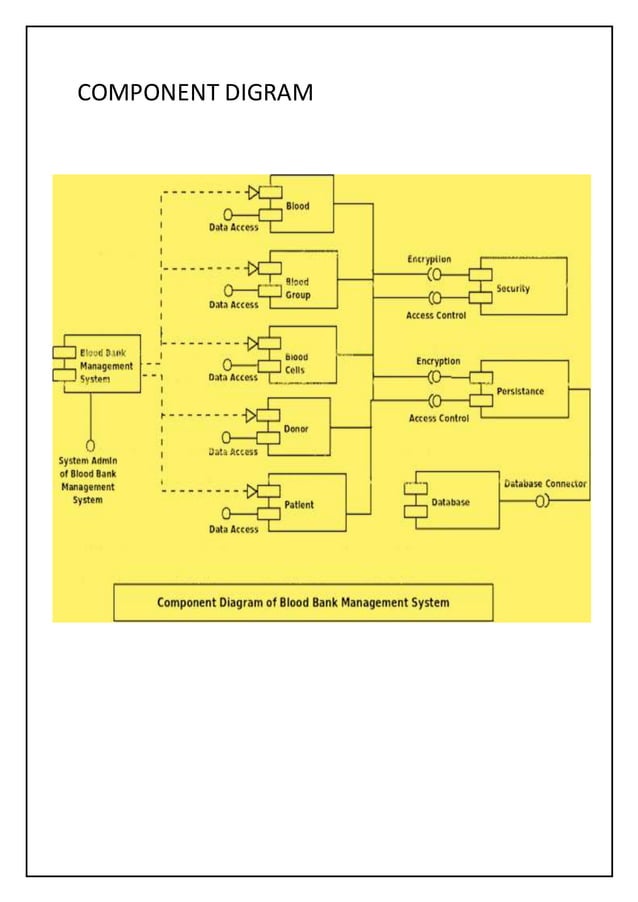 ER diagrams for blood bank management system | DOCX | Blood Disorders ...
