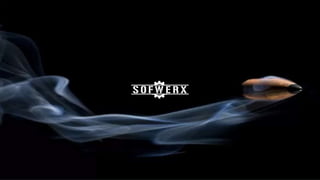 Sofwerx Executive Brief | PPT