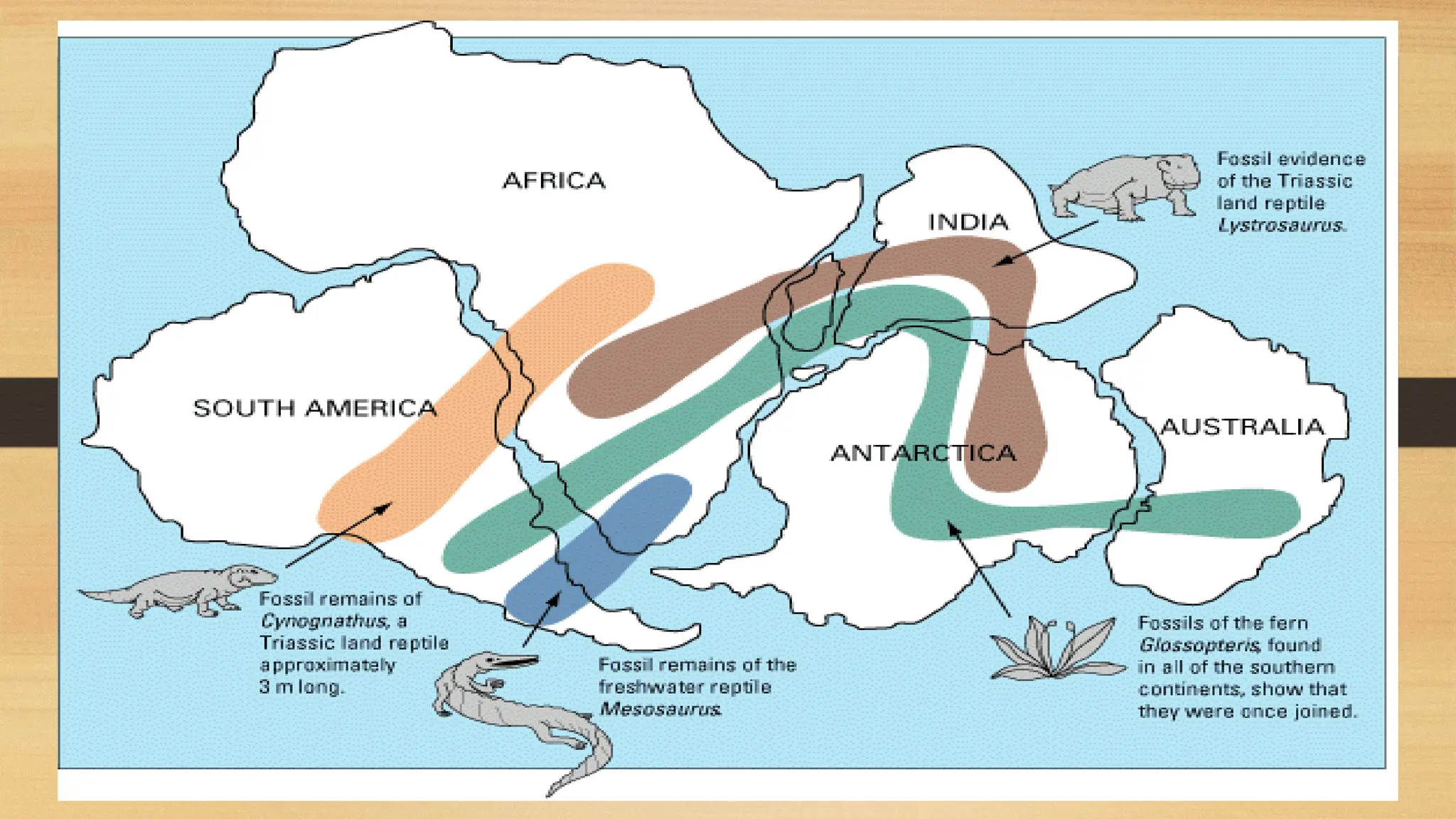 CONTINENTAL-DRIFT-THEORY.pptx.lemuelmara | PPTX