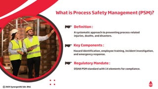 From Risk Assessment to Emergency Planning: Implementing Process Safety ...