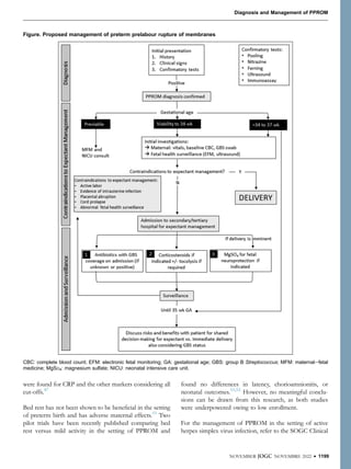 [SOGC] 2022 PPROM cpg430 .pdf | Pregnancy | Reproductive Health