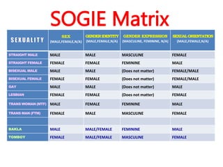 sogie-101.pptx