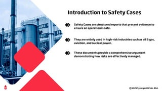 Safety Cases: A Framework for Risk Management | PDF