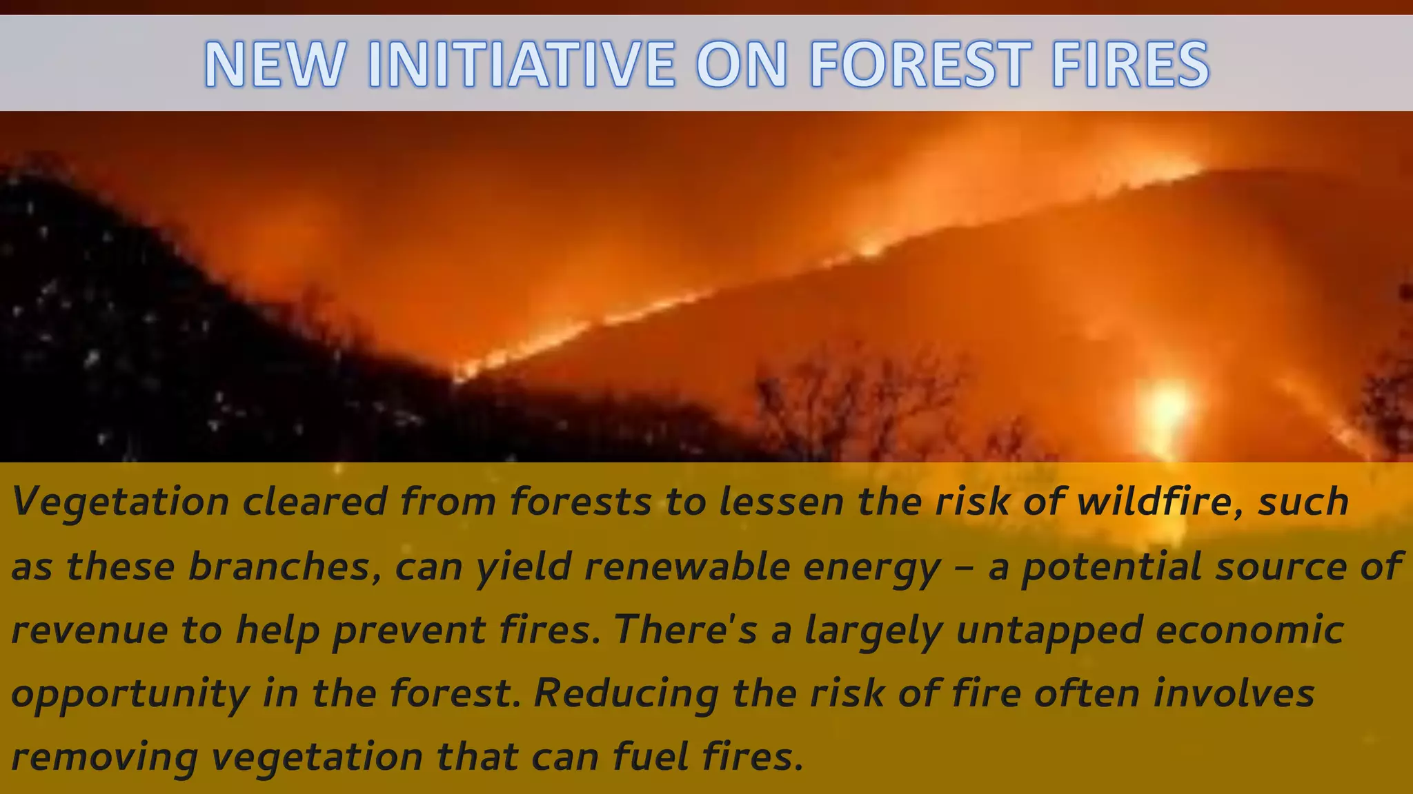 Natural disaster (Forest Fire) | PDF