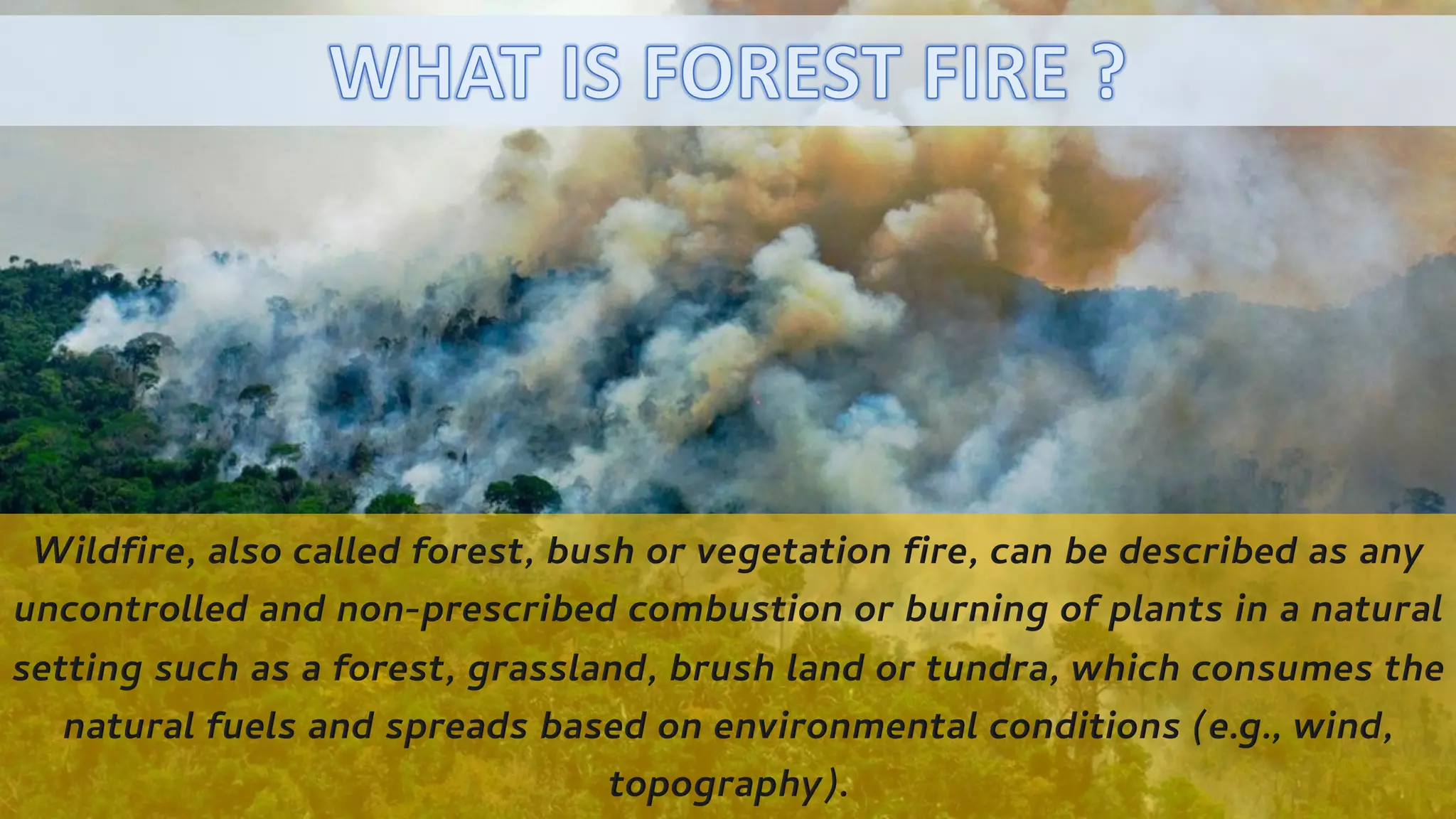 Natural disaster (Forest Fire) | PDF